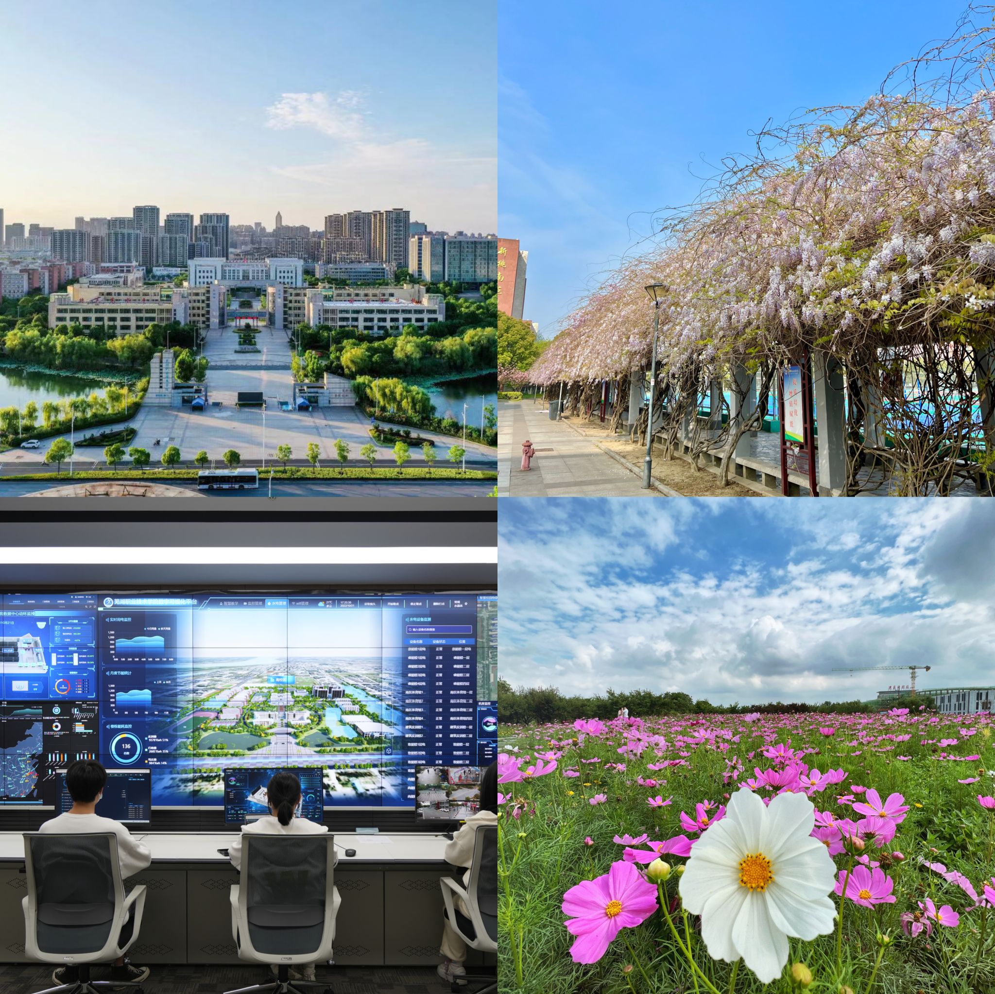 学校荣获“安徽省绿色学校”荣誉称号-芜湖职业技术大学-后勤管理网